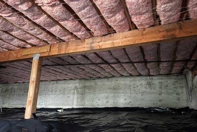 Willard's Pest Control & Removal l Exterminators l Seattle, Bellevue ...